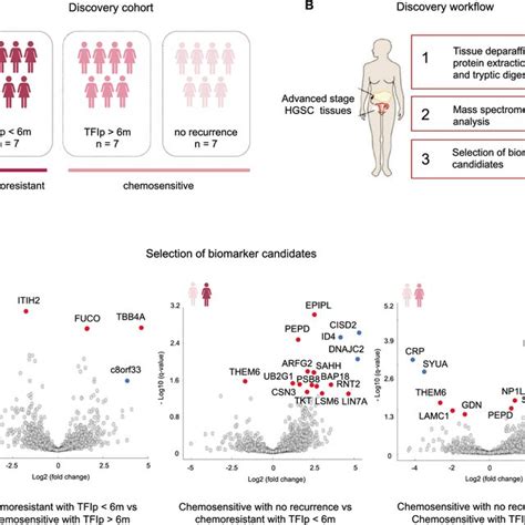 Identification Of Protein Biomarker Candidates Using Discovery Download Scientific Diagram
