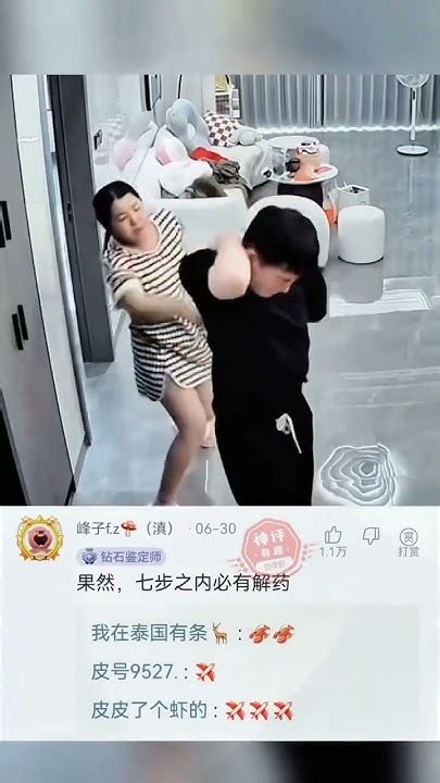 有卧龙的地方必有凤雏 Youtube