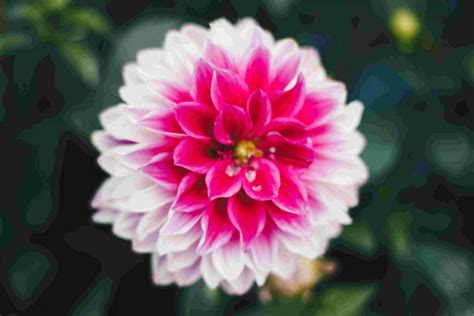 Layer Normalization Vs Batch Normalization