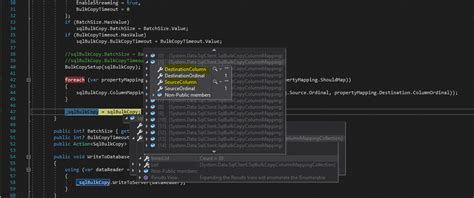 Using Custom Attributes Does Not Map The Names Of The Columns · Issue