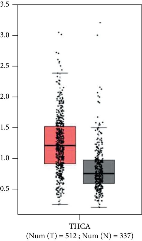Kif11 Expression In Tumor Tissues And Normal Tissues According To The