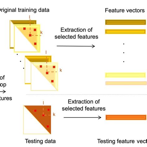 Proposed Network Atlas Guided Feature Selection NAG FS Framework Download Scientific Diagram
