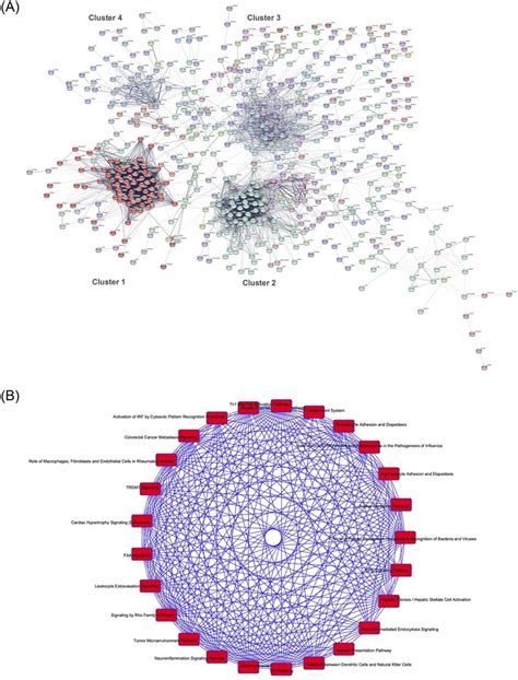 Cluster Analysis Cluster Analyses Showing When Comparing A Wild Type Download Scientific