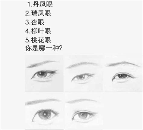 各种眼型图片及名称各种眼型的图片和名称 伤感说说吧