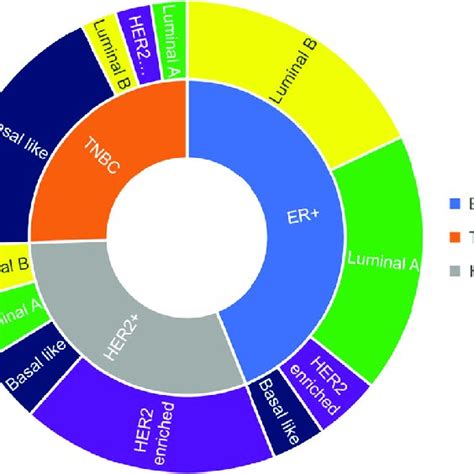 Intrinsic Molecular Subtypes Of Breast Cancer Within Each Clinical Download Scientific Diagram