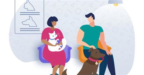 Affordable Pet Insurance And Care Tips
