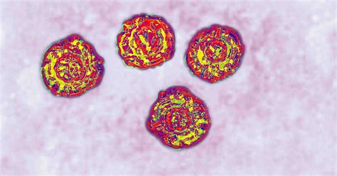 Hepatitis C Vaccine Scientists Just Made A Major Breakthrough