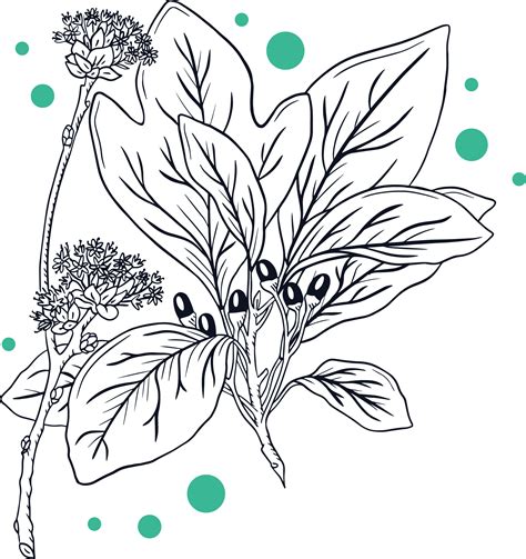 Welcome Sassafras Tech Collective Welcome Sassafras Tech Collective