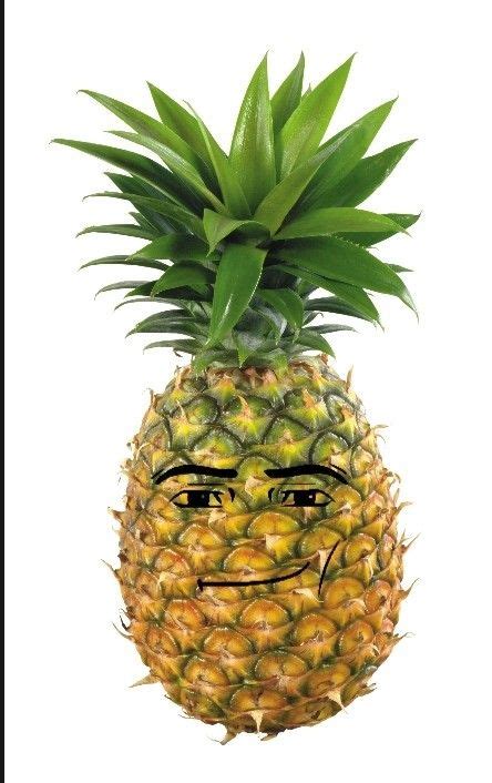 Pineapple Meme Artofit