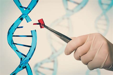 RAMAS DE LA BIOLOGÍA todo lo que debes saber aquí