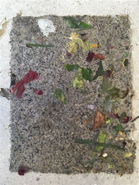 Inclusions Impressions And Embedded Objects
