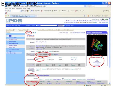 Ppt Introduction To Proteomics And Protein Structure Modeling Bmi 705