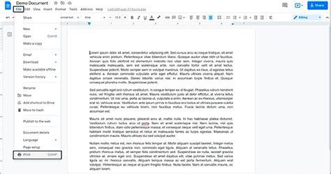 Learn How To Print Google Docs Thegoodocs Com