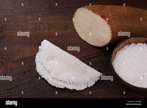 Manihot Esculenta Cassava Yuca Manioc Mandioca Brazilian Arrowroot