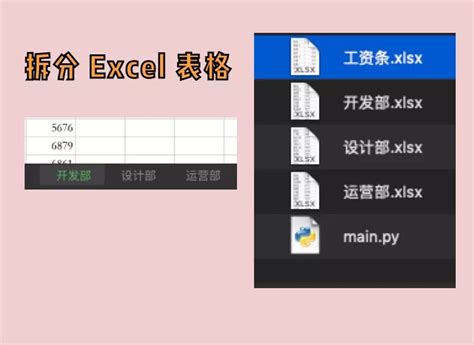 学 Python 能帮你解决什么问题 ？ Python Openai