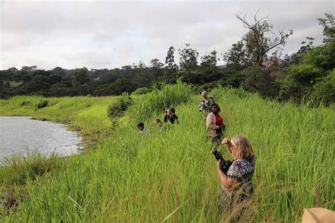 Restoring Malawis Historic Mudi Dam Birdlife International