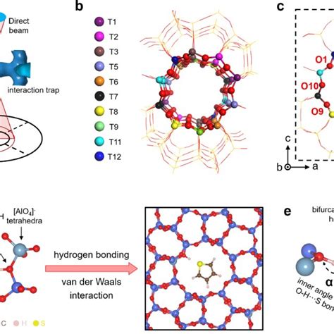 A Schematic Diagram Of Idpc Stem Used For Single Molecule Imaging Download Scientific Diagram