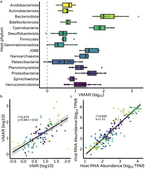 Cyanobacterial Mats Are Characterized By A Top Heavy Trophic Download Scientific Diagram