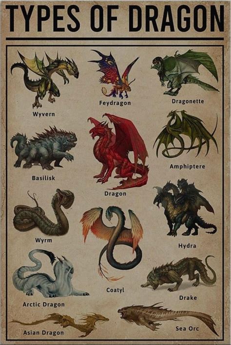 Dungeons And Dragons Dragon Types Names Different Types Of Dragons