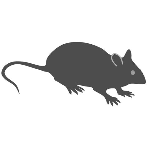 生物医学之家