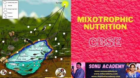 Mixotrophic Nutrition Cbse Class X Biology Nanditha Akunuri