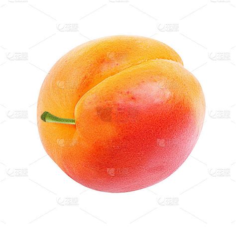 杏子孤立在白色上