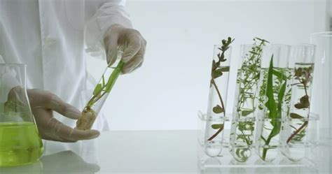 Sientist Bilder Durchsuchen 38 Archivfotos Vektorgrafiken Und Videos Adobe Stock