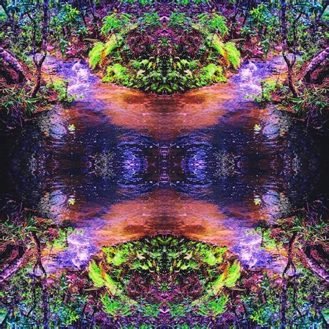 Premium Photo Reflection Of Trees In Water