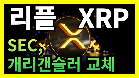 리플 Sec 의장 사임 전격 교체 Youtube