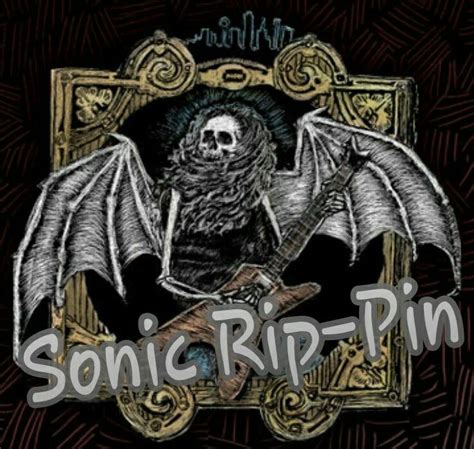 Pin By Shawn Hager On Sonic Rip Pin Sonic Ripped