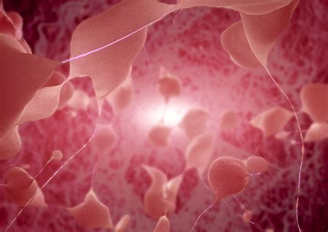 Terapia genowa w leczeniu rdzeniowego zaniku mięśni Czasopismo dla lekarzy pediatrów Forum