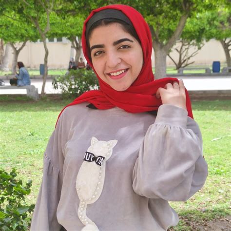 mona elsayed civil engineer freelance linkedin