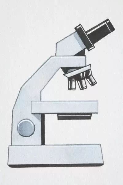 Print Of Illustration Microscope Side View