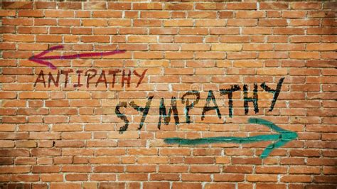 Street Sign To Sympathy Versus Antipathy Stock Illustration