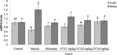 The mRNA expression levels of Th17 cell related factors ROR γt and Treg