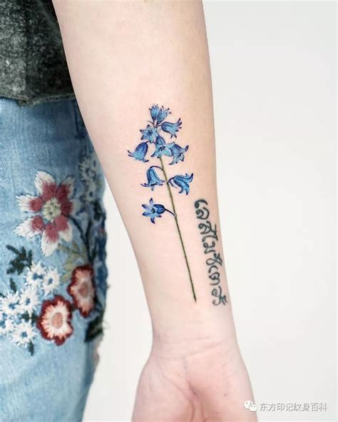 小臂上第15页大山谷图库