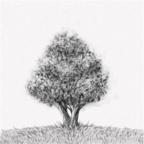 Artistic Pictures Of Trees