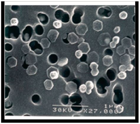 Colloids And Interfaces An Open Access Journal From Mdpi