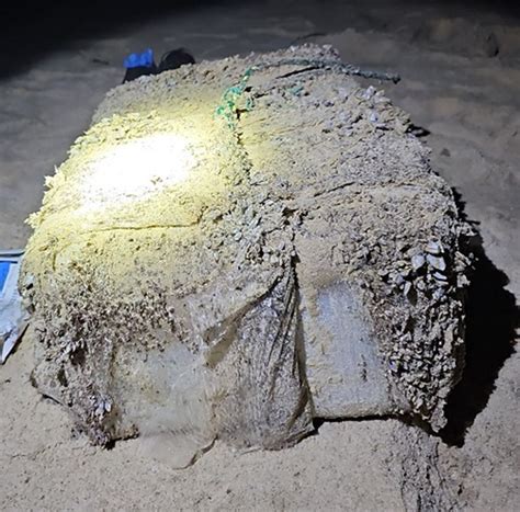 호주 해변에 밀려온 수상한 꾸러미의 충격적인 정체는 경찰 절대 만지지 말고 신고 당부 짤뉴스