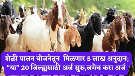 Goat Farming शेळी पालन योजनेतून 10 शेळ्या एक बोकड साठी मिळणार 5 लाख