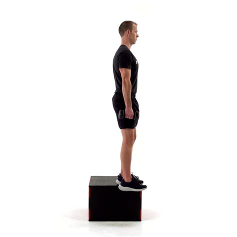 Dumbbell Leg Raise Trainwell Formerly Copilot