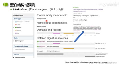 生物化学 单个基因生物信息学分析笔记单个基因的生物信息学分析 Csdn博客