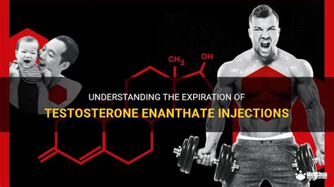 Understanding The Expiration Of Testosterone Enanthate Injections Medshun