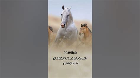 شيلات سلامي على العتبان حماس الشيله 😑 Youtube