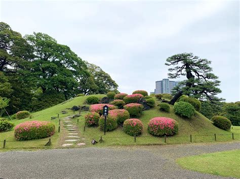 On Twitter Rt Hamarikyugarden