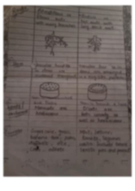 SOLUTION Comparison Of Monocots And Dicots Plants Studypool