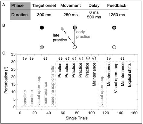Schematic Representation Of The Experiment Divided Into The Temporal Download Scientific