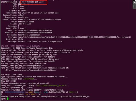 openEuler 使用coredumpctl调试进程core CSDN博客