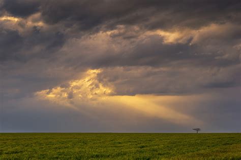 Free Download Hd Wallpaper Landscape Photography Of Green Grass