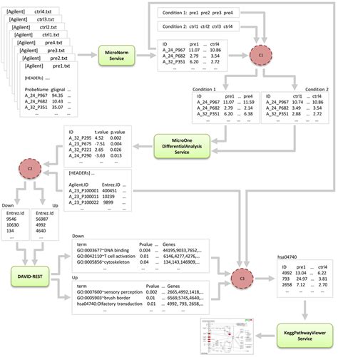 One Color Microarray Data Analysis Scenario Service Architecture A